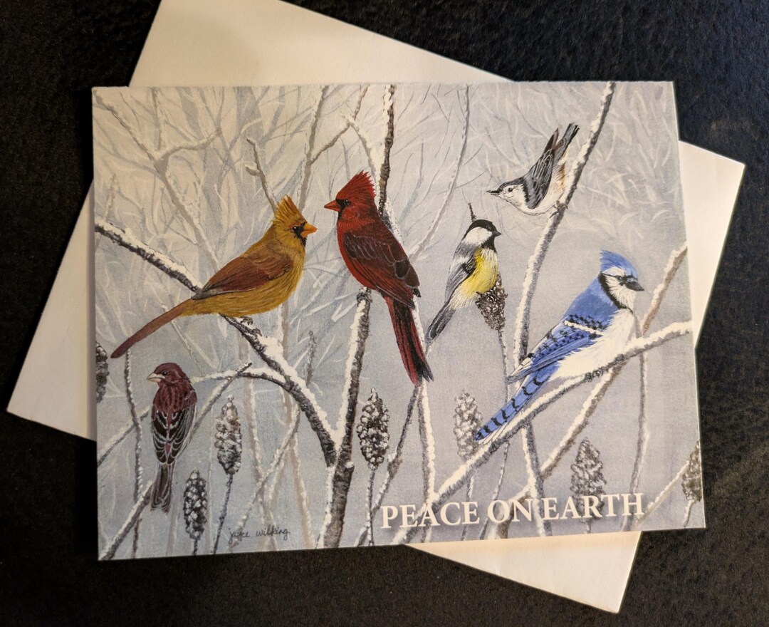 Peace on Earth Cards 10 Pack - Etsy