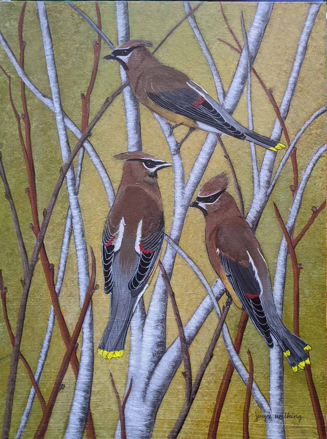 Cedar Waxwings in Trees - Etsy