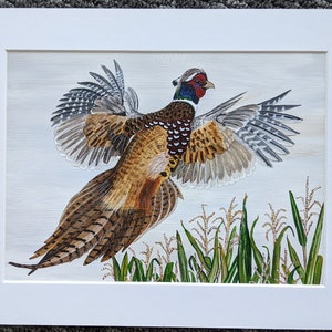 WildlifeUpClose - Etsy