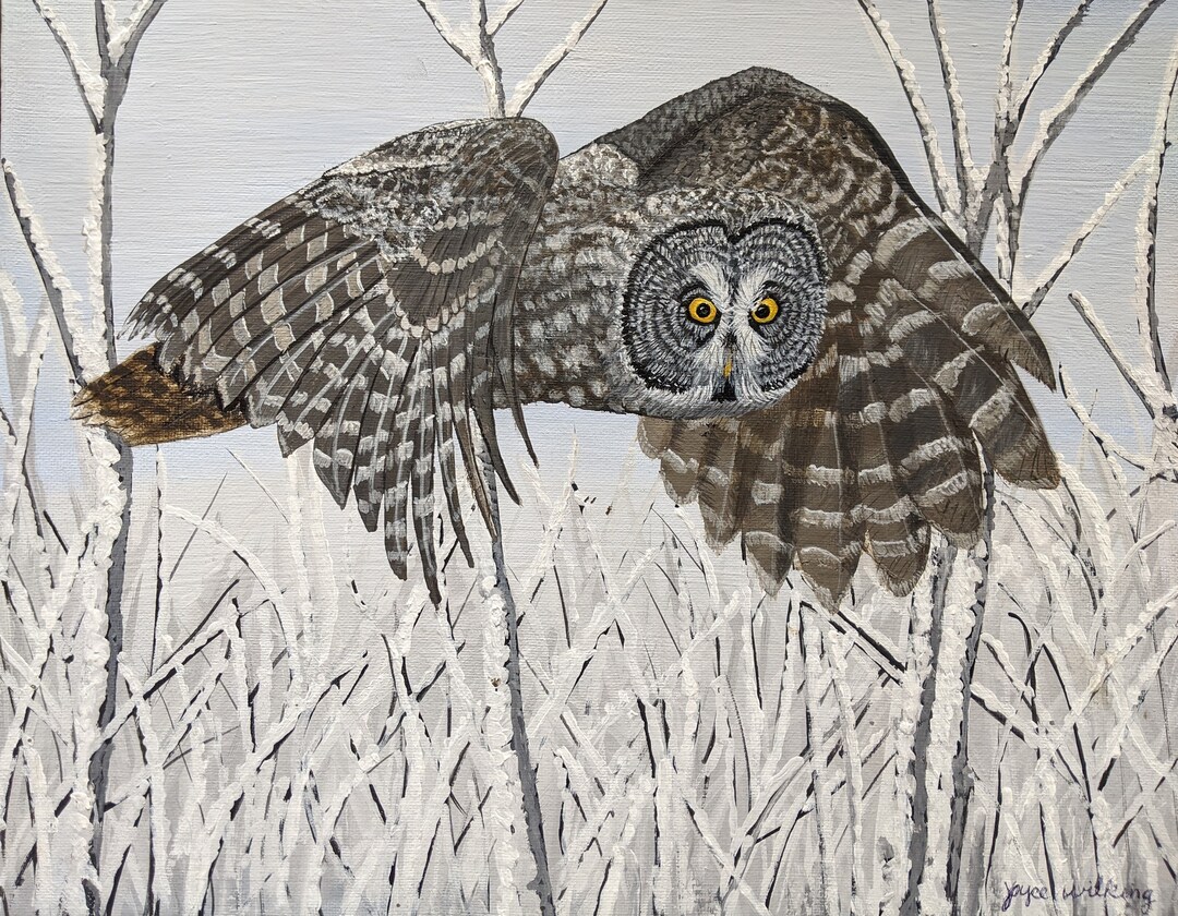 Original Great Grey Owl Acrylic Painting – Hunting Scene, 14x11 - Etsy
