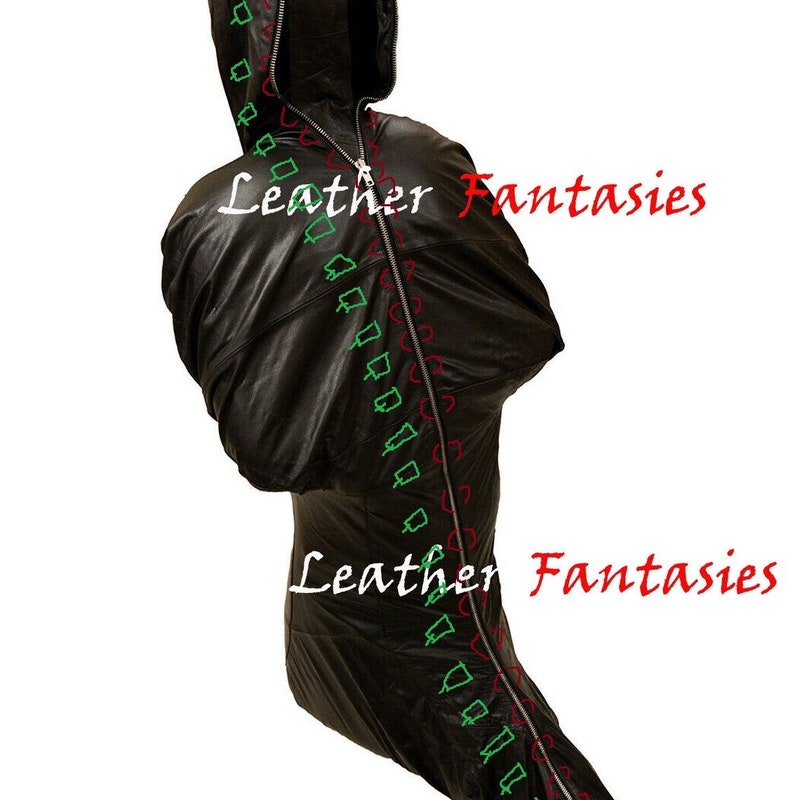 Pet Crawler Bondage - Etsy