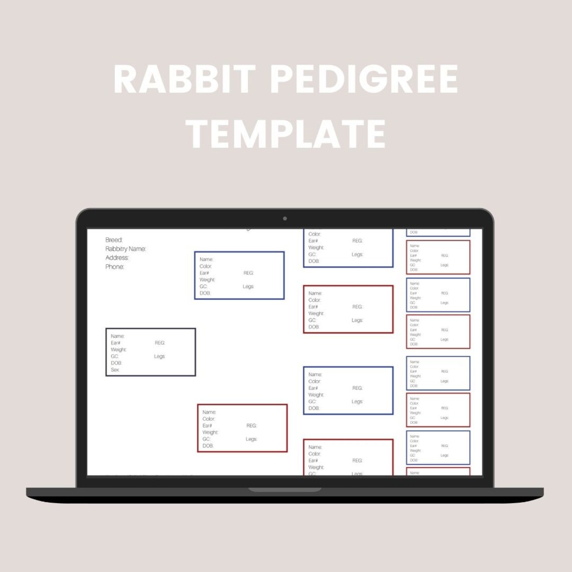 Rabbit Pedigree Template - Canva Template, PDF File for Hand Writing ...