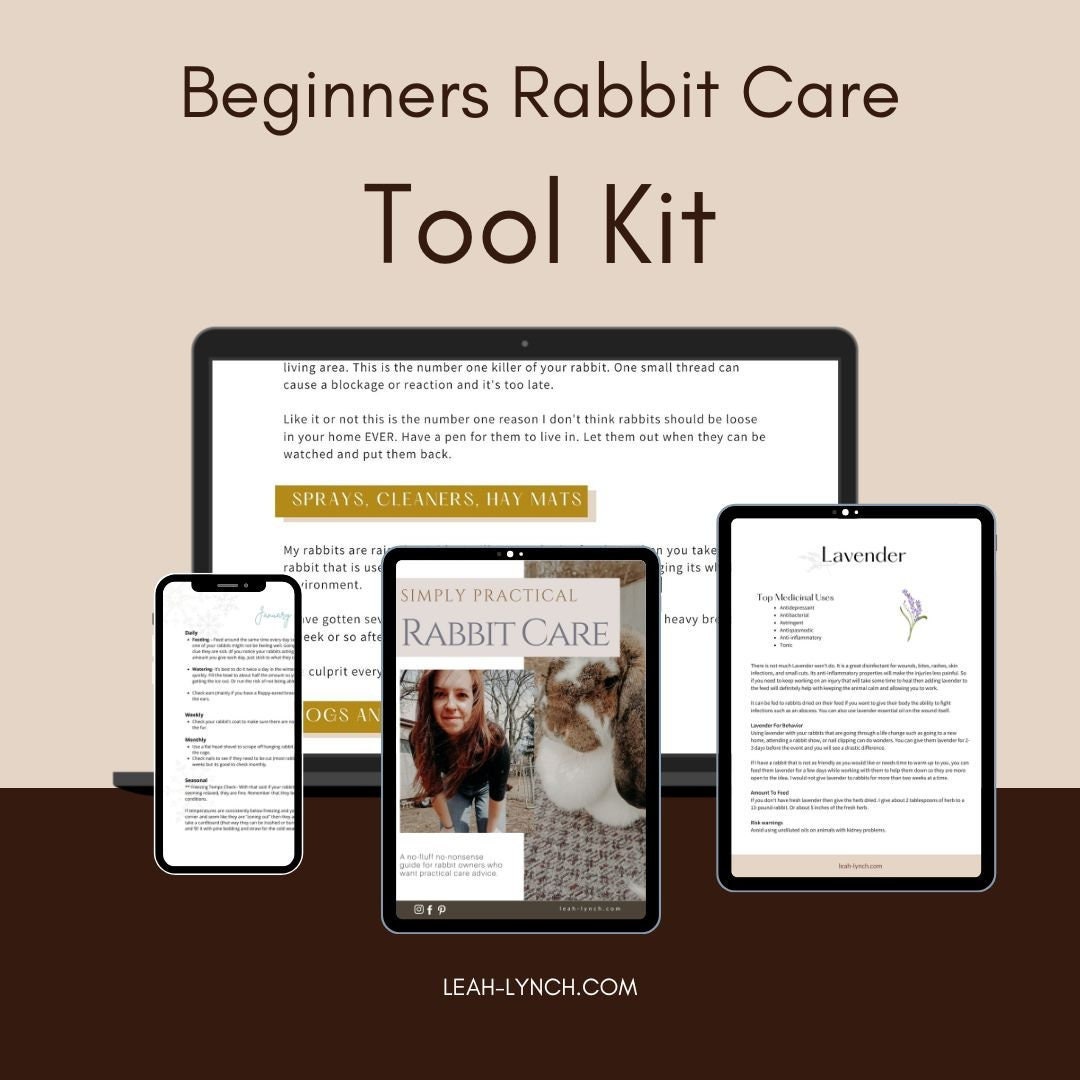 Beginners Rabbit Care Tool Kit - Etsy
