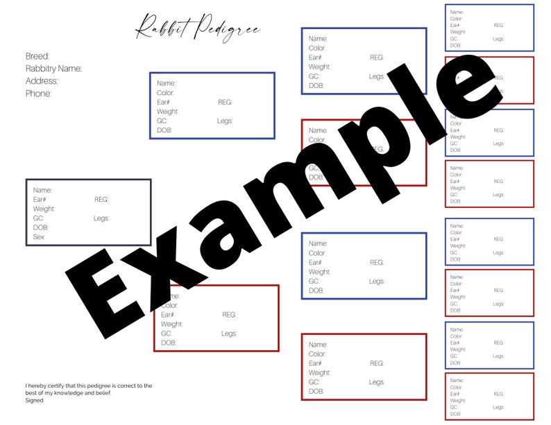 Rabbit Pedigree Template - Canva Template, PDF File for Hand Writing ...