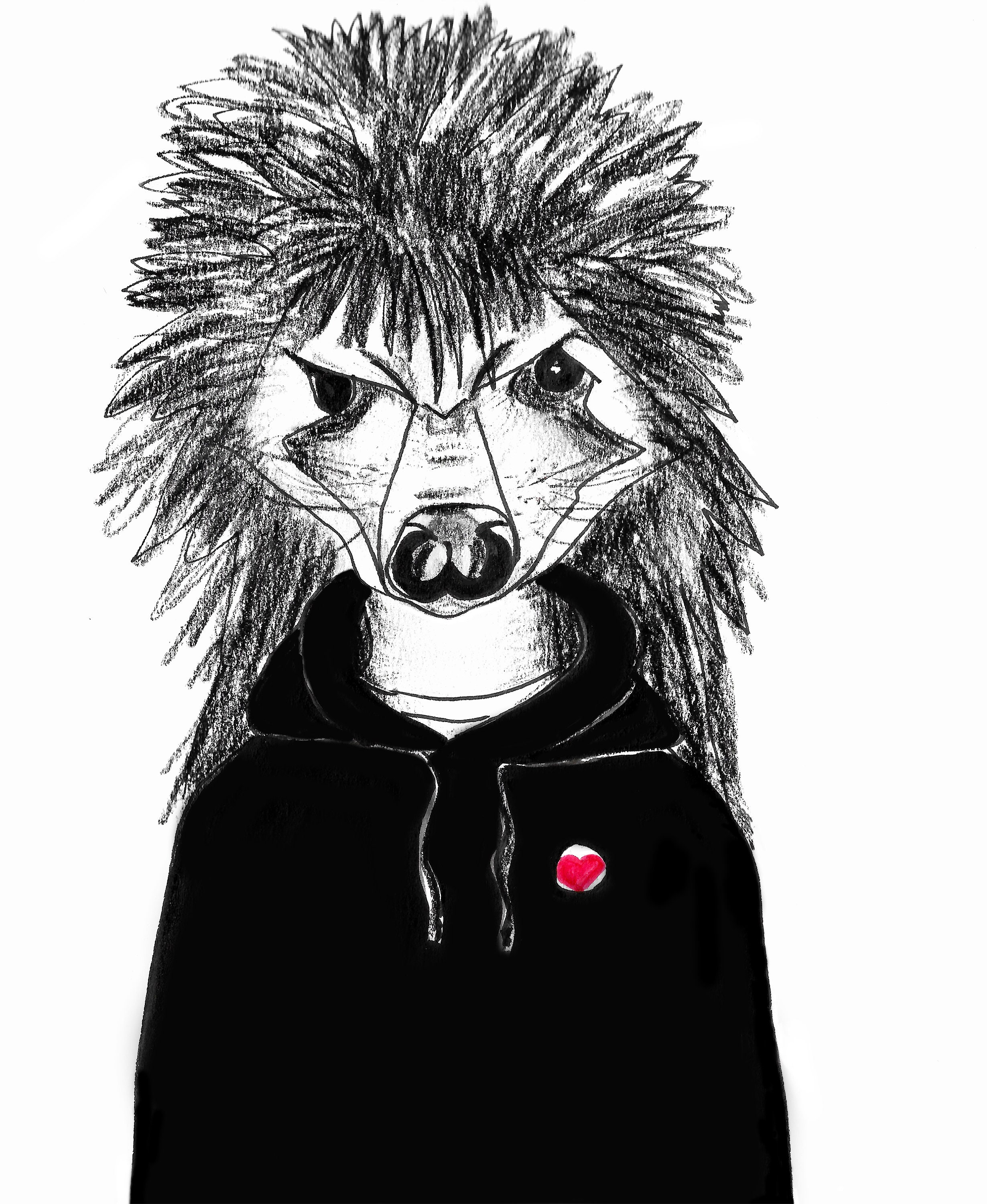Luke the Hedgehog | Cute Animal Portraits | Hand-drawn Illustration ...