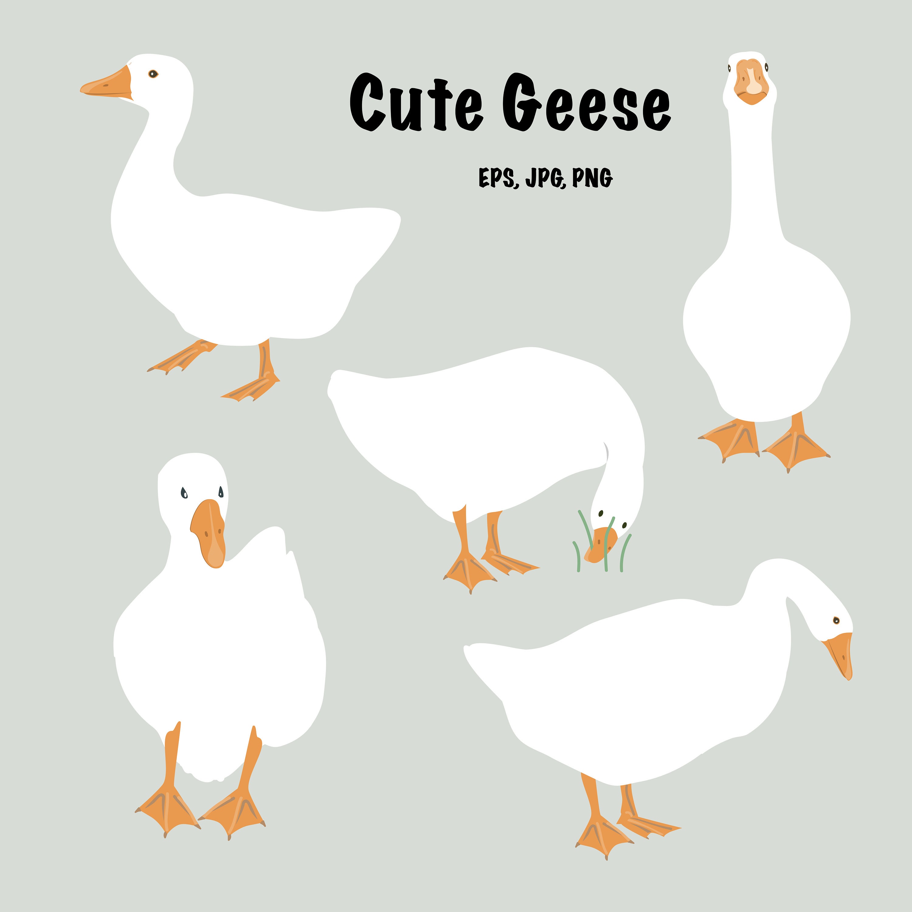 Cute White Geese Set With Detailed Legs and Heads. Goose Isolated ...