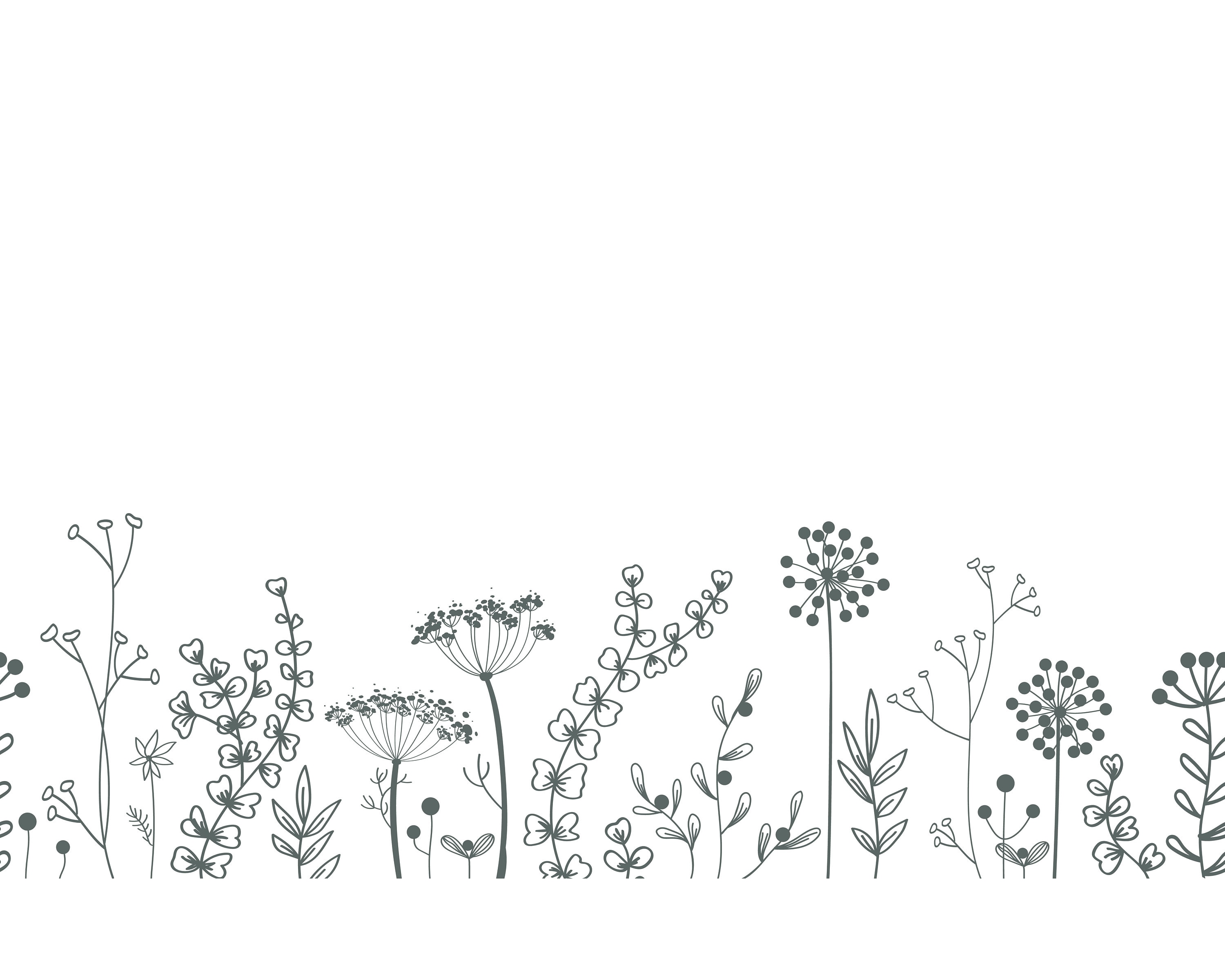 Doodle Seamless Border With Hand Drawn Wild Herbs, Flowers and Leaves ...