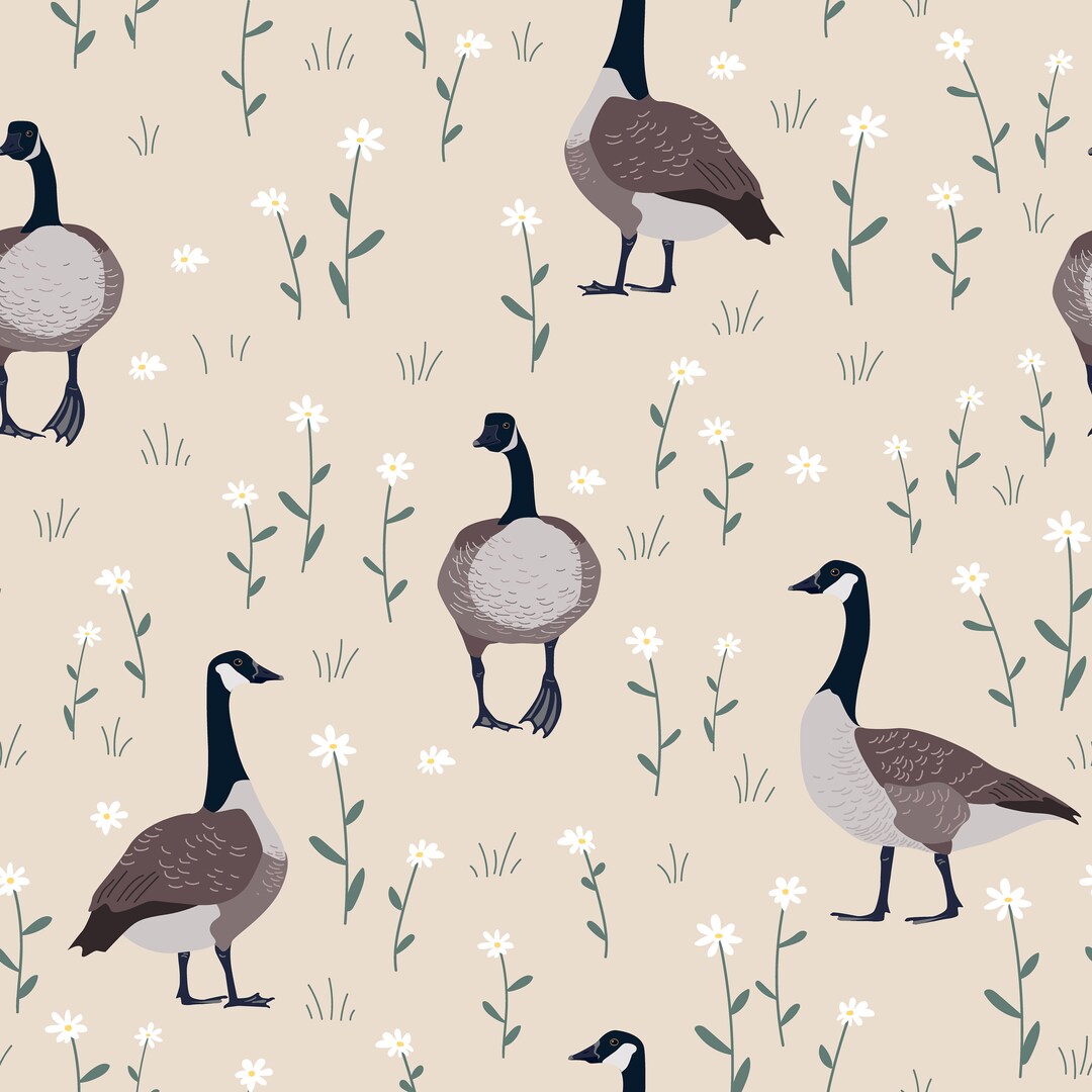 Seamless Pattern With Daisy Flower and Canada Geese Birds. JPG, PNG ...
