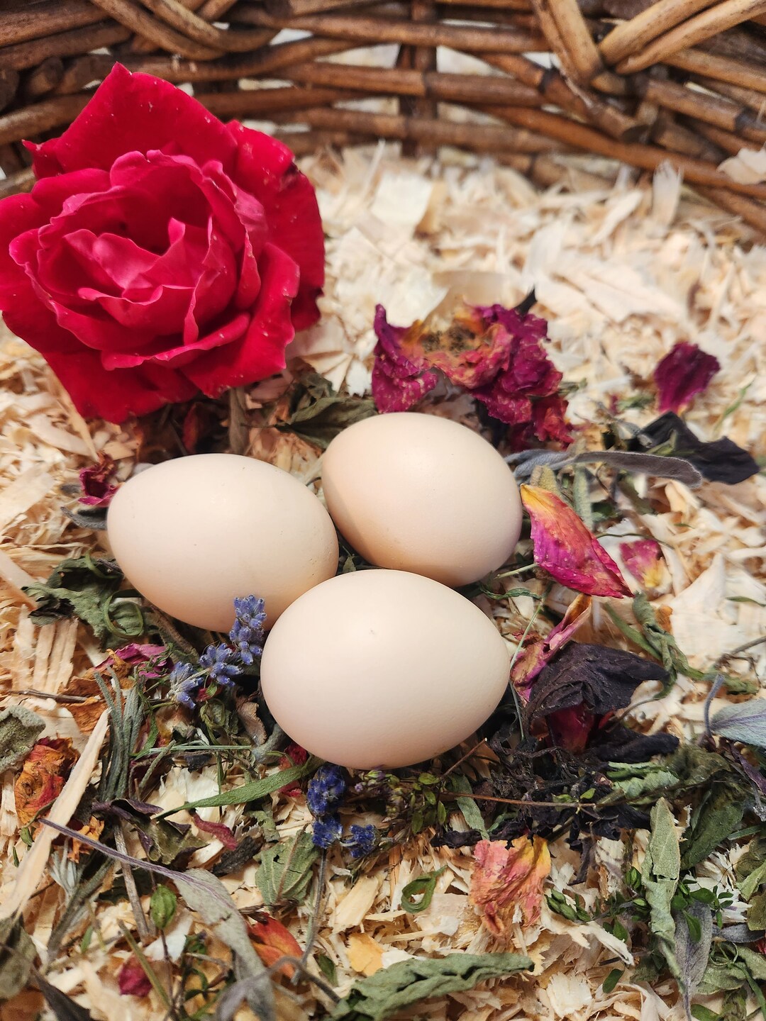 ORGANIC Chicken Nesting Box Herbs - Peony Puff Silkies Farm - Etsy