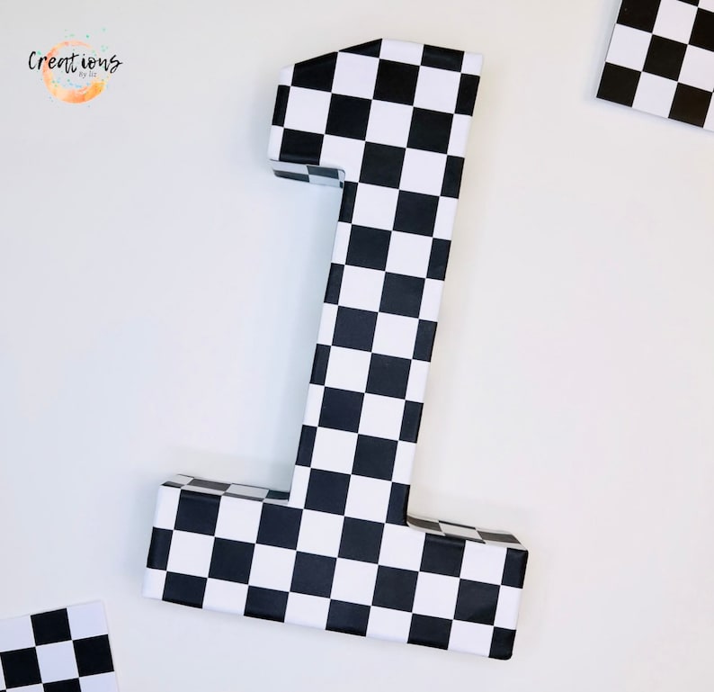 Race Birthday Black and White Checkered Party Racing - Etsy