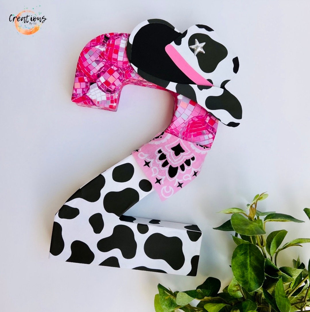 Cowgirl Disco Party, Disco Cowgirl Birthday, Cowgirl Disco Theme, Space ...