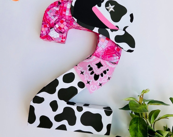 Cowgirl Disco Party, Disco Cowgirl Birthday, Cowgirl Disco Theme, Space ...