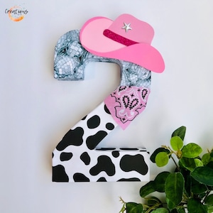 Disco Cowgirl Party, Disco Rodeo Theme Birthday, Rodeo Birthday ...