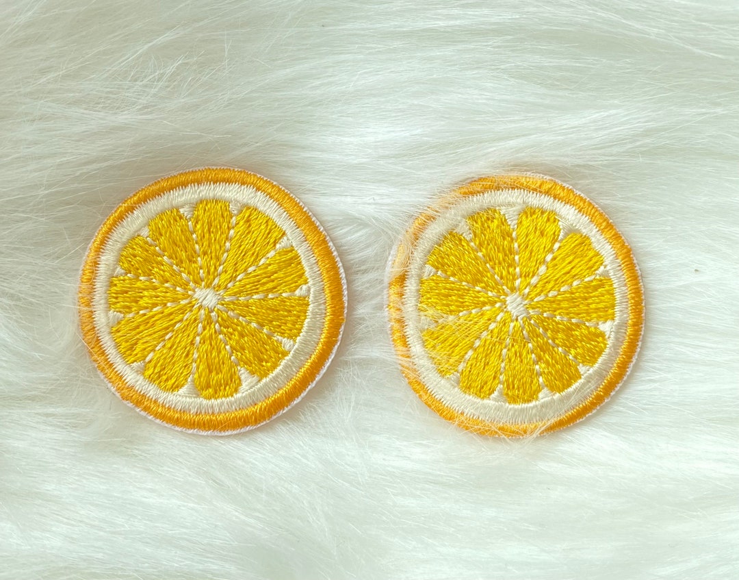 Orange Iron on Patch Applique Patch Citrus Fruit Embroidered Patch ...