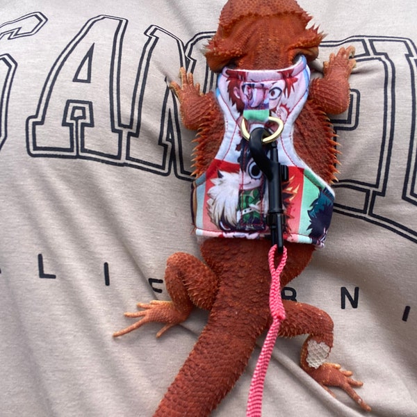 Bearded Dragon - Etsy