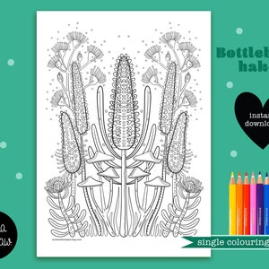 Printable Colouring in Page, Australian Flowers, Colouring in Pages for ...