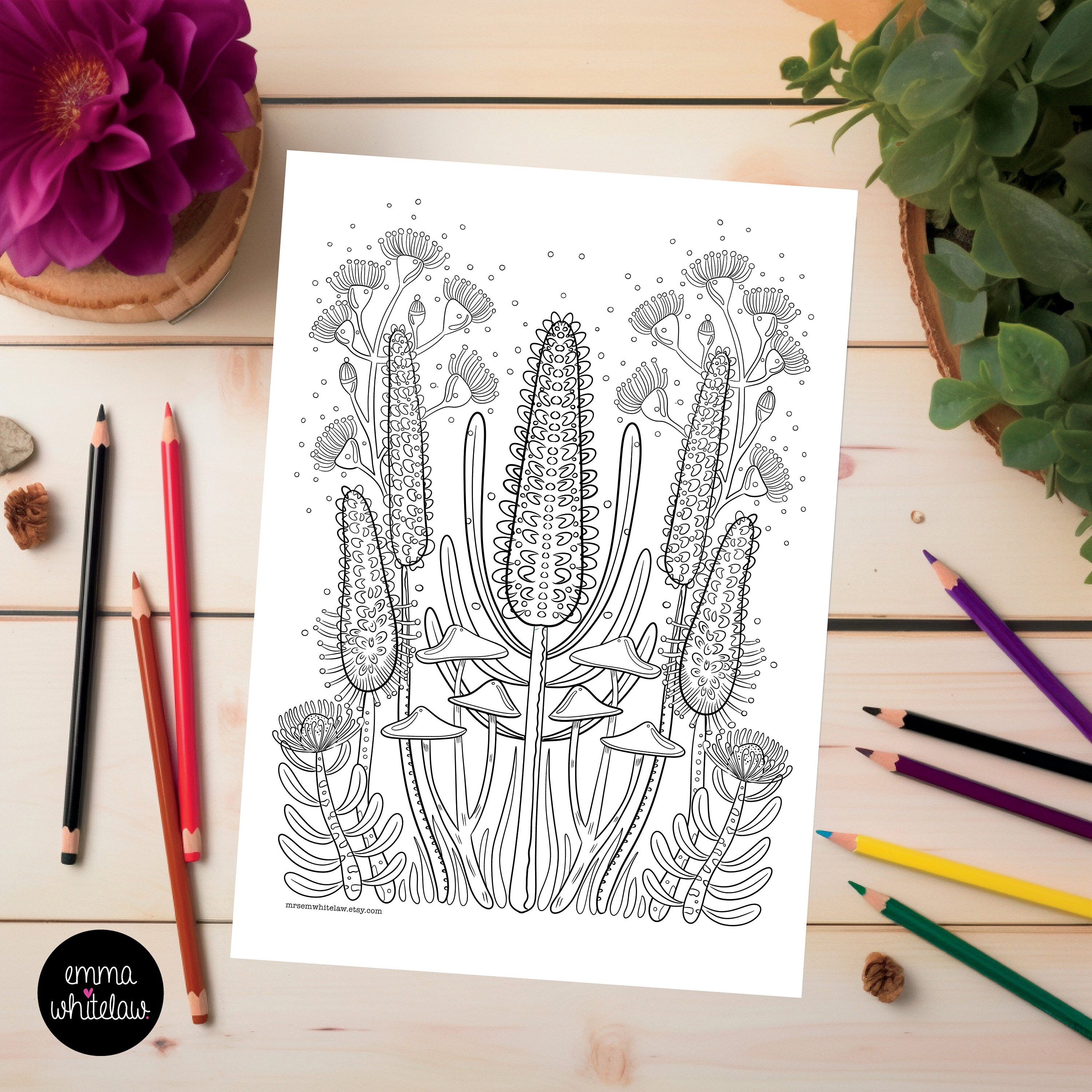 Printable Colouring in Page Australian Flowers Colouring in - Etsy