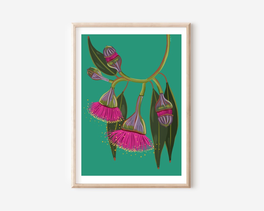 Australian Native Flower, Gum Blossom Art Print A4 /A3 Digital Download ...
