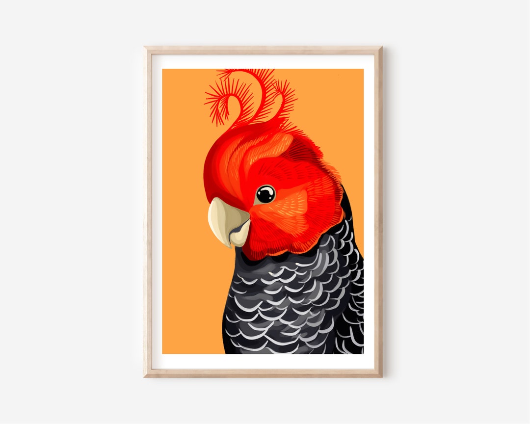 Gang Gang Cockatoo Australian Bird Art Print A2 Digital Download Print Cockatoo Bird Wall Art