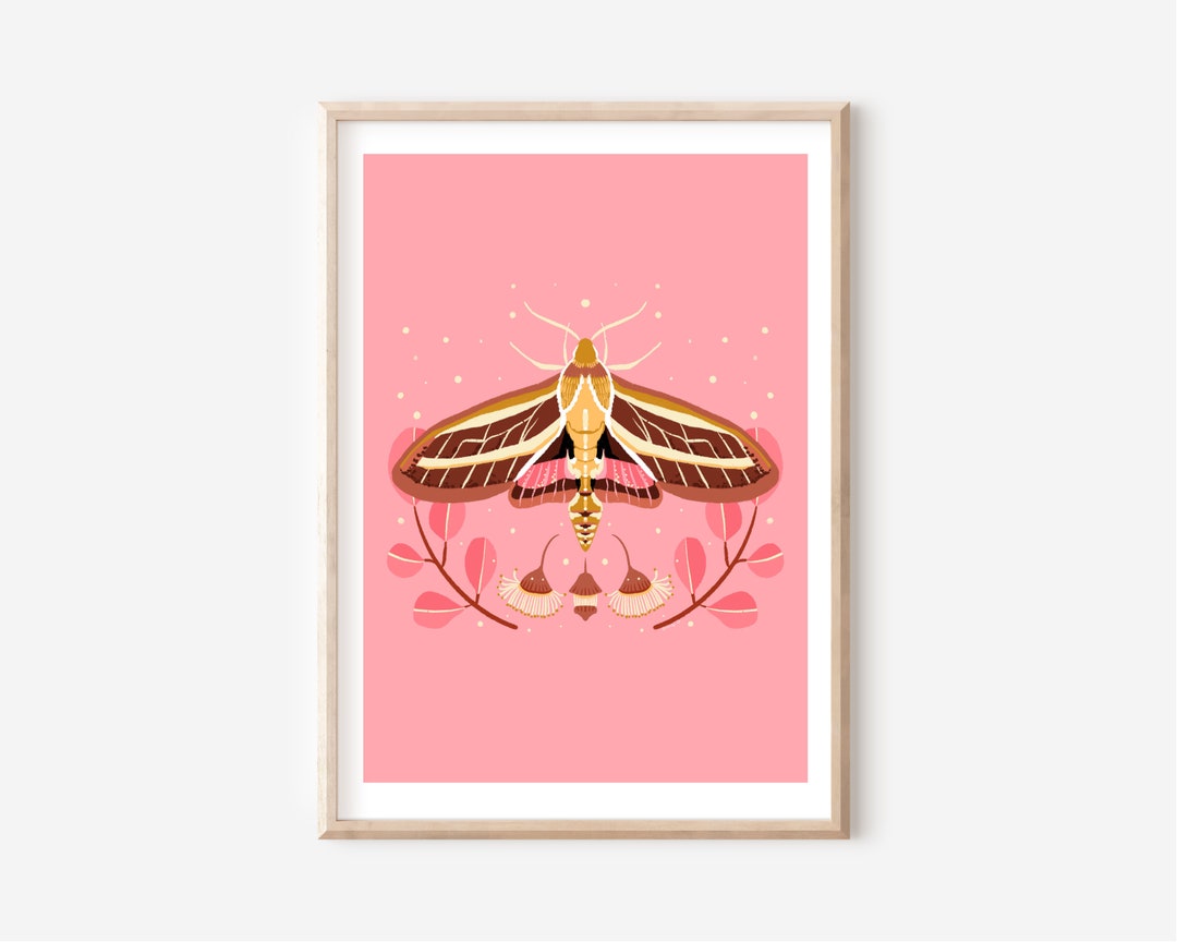 Striped Pink Hawk Moth A4 / A3 Digital Download Print, Pink, Moth ...