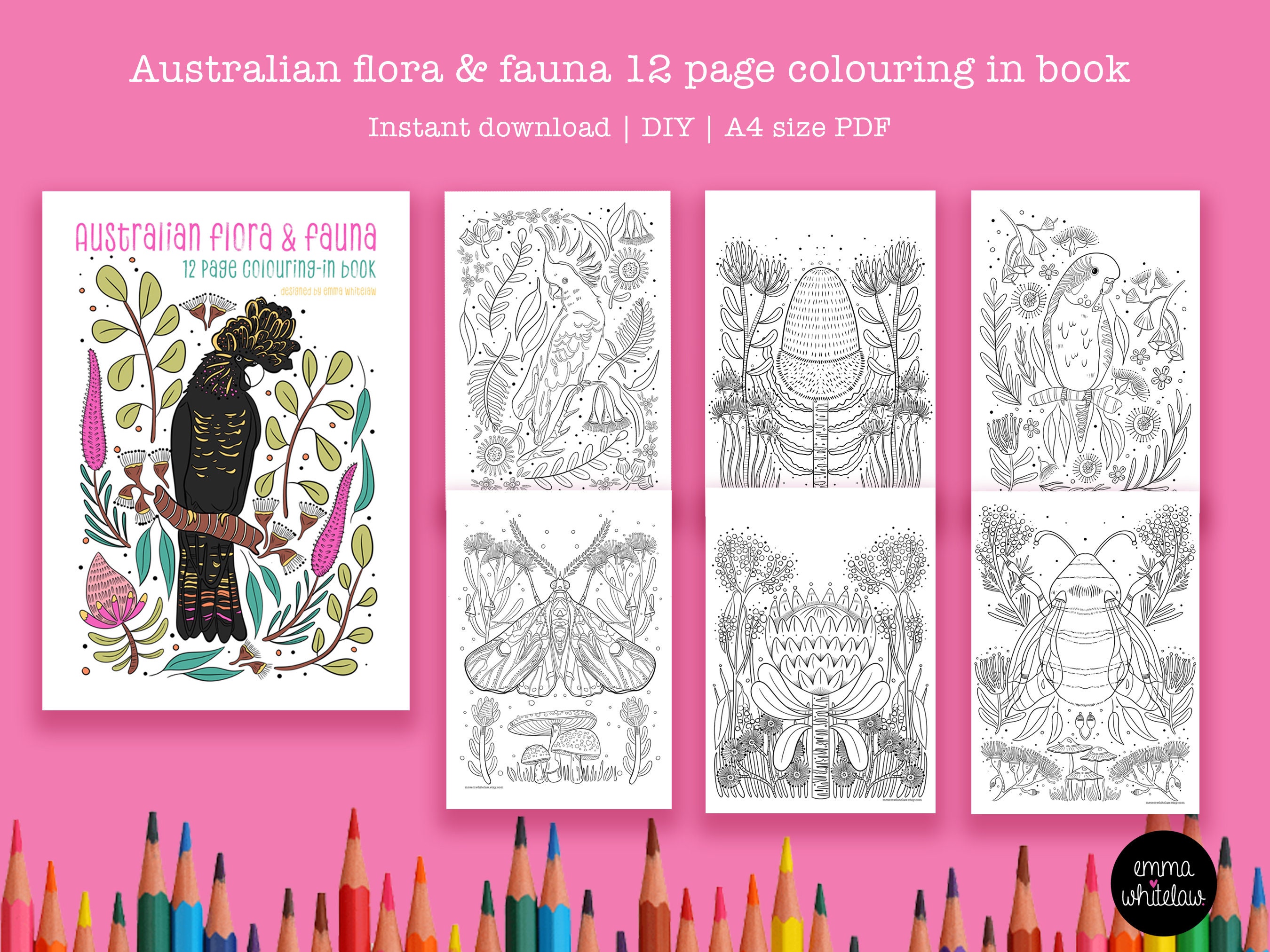 Printable Colouring in Book Australian Flowers Birds and - Etsy Australia