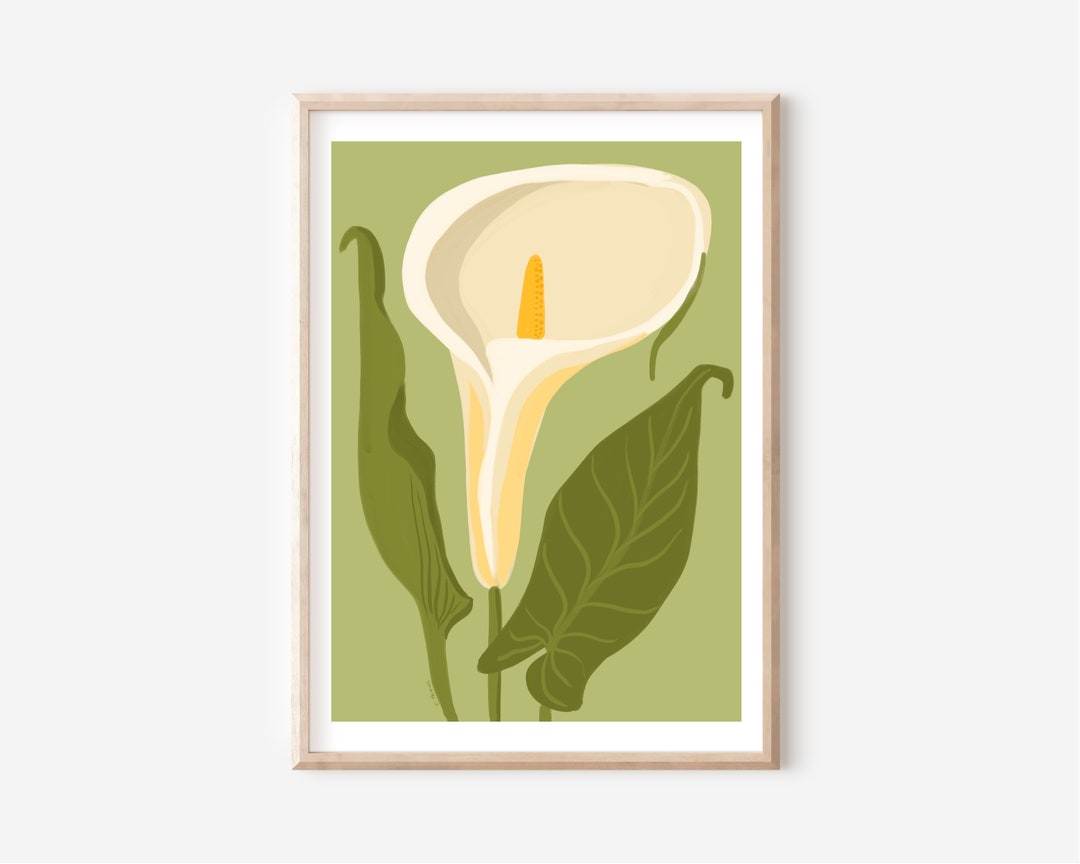 Calla Lily Flower Art Print, Flower Illustration, Floral Home Decor ...