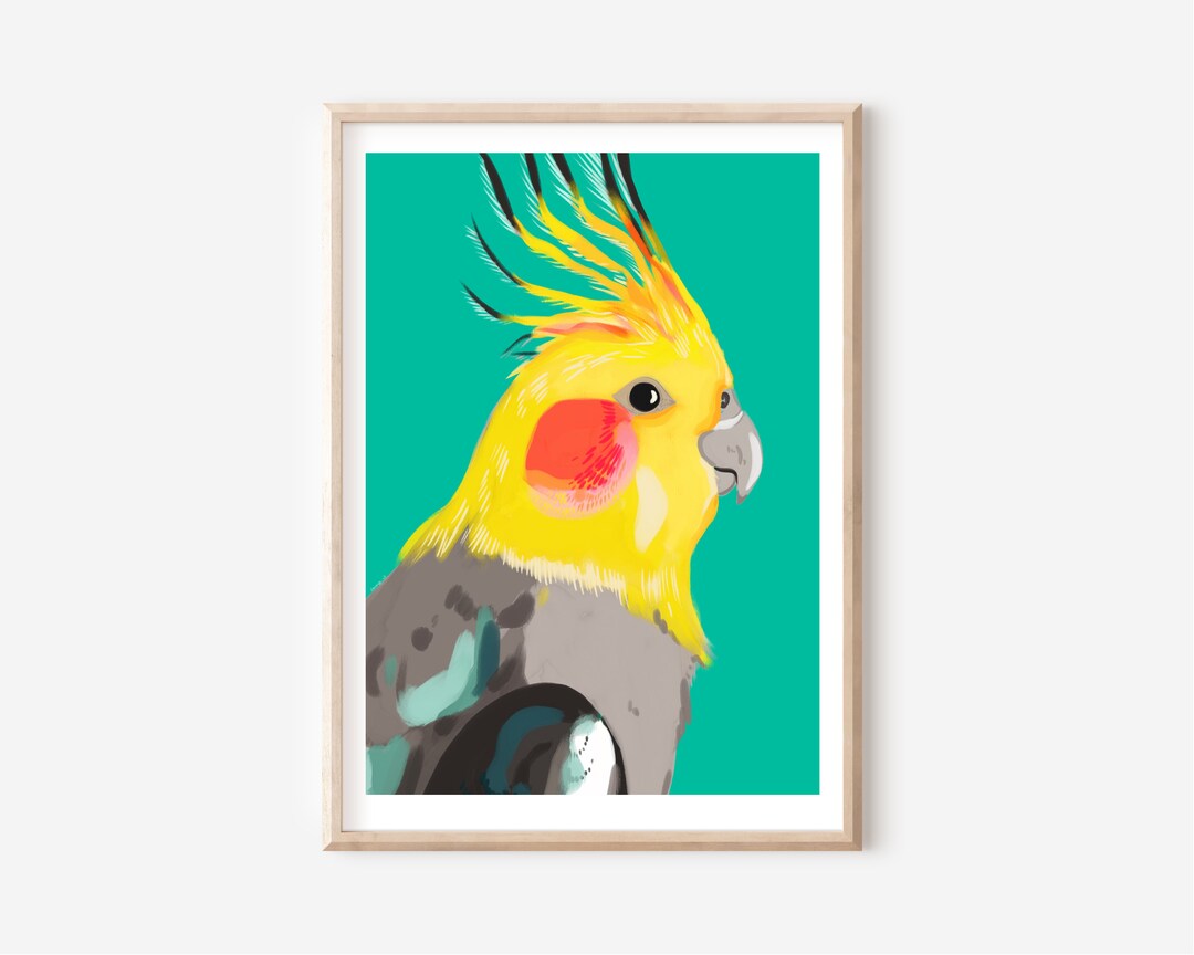 Australian Cockatiel Bird Art Print 8 X 10 Inch Size Digital Download ...