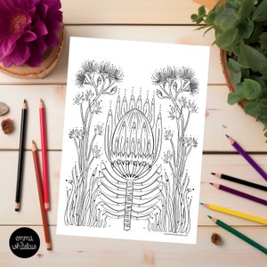 Printable Colouring in Page, Australian Flowers, Colouring in Pages for ...