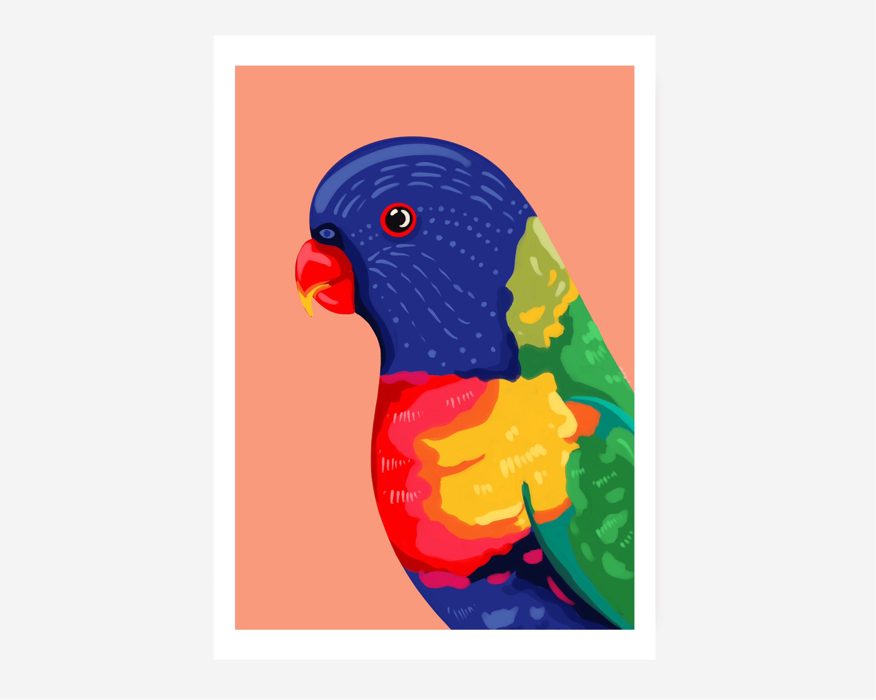 Rainbow Lorikeet Native Australian Bird, A4 /A3 Digital Illustrated ...