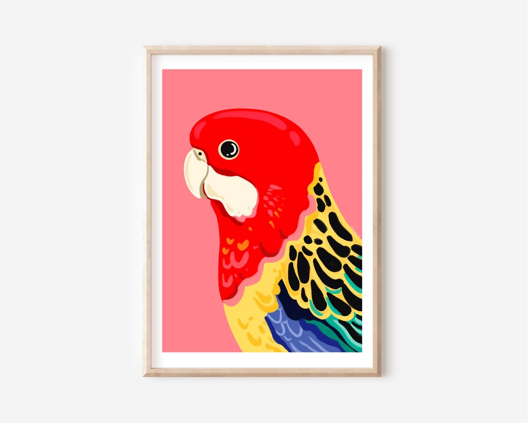 Eastern Rosella, Native Australian Bird, A4 /A3 Digital Illustrated ...