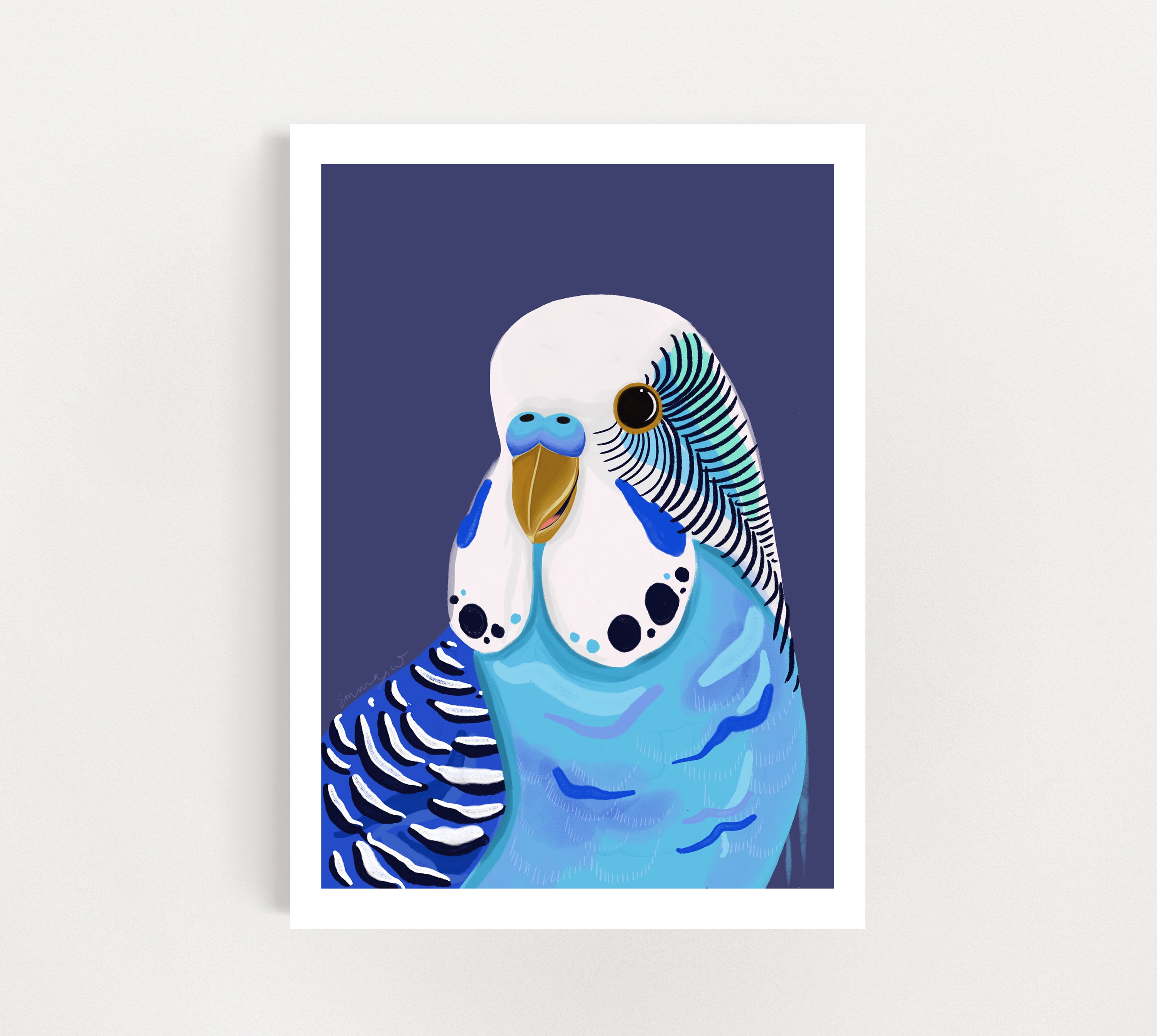 Budgie Art Prints Set of 3 A3 Digital Download Print - Etsy