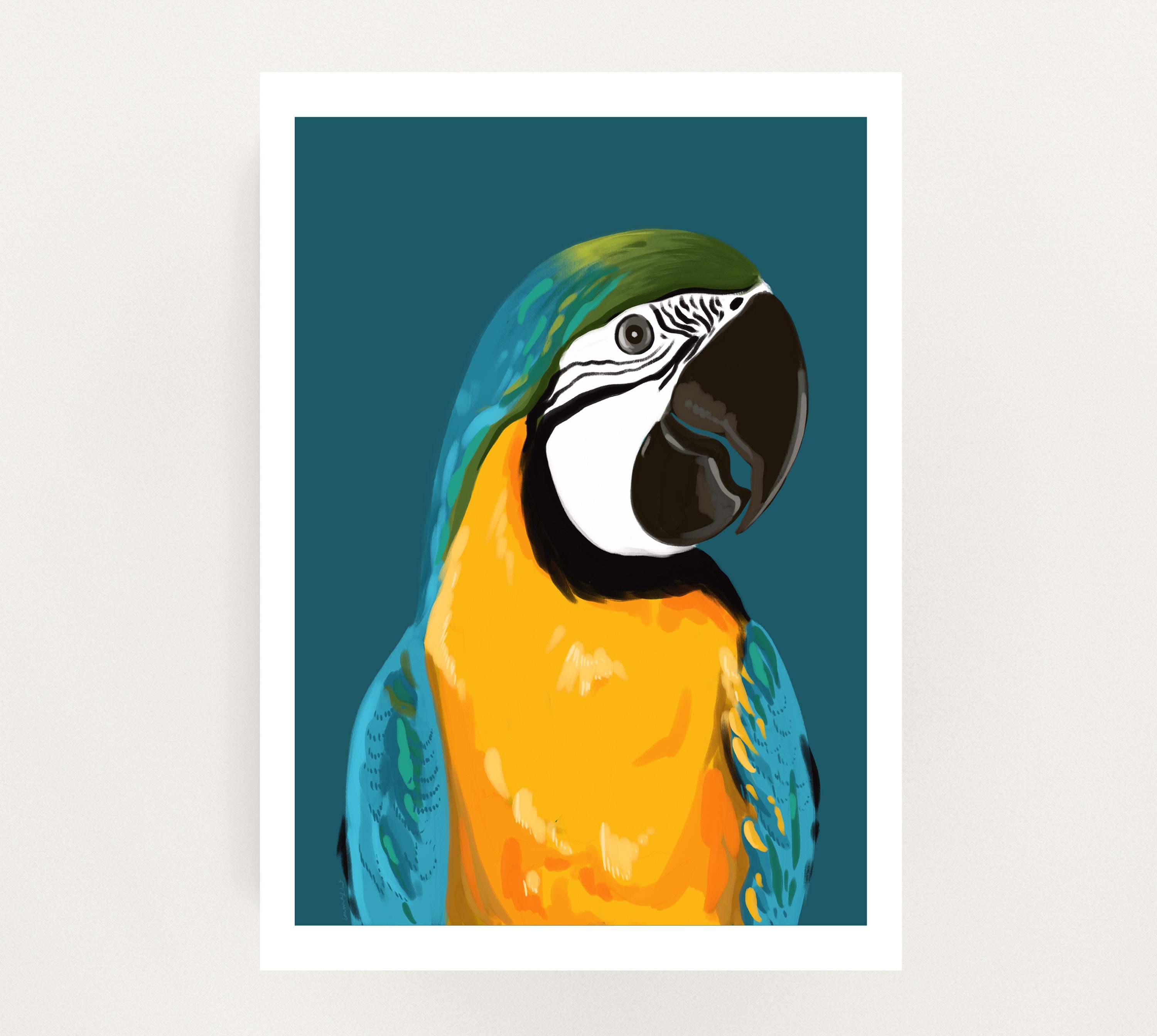 Macaw Parrot Art Print, Digital Download Macaw Parrot Digital Download ...