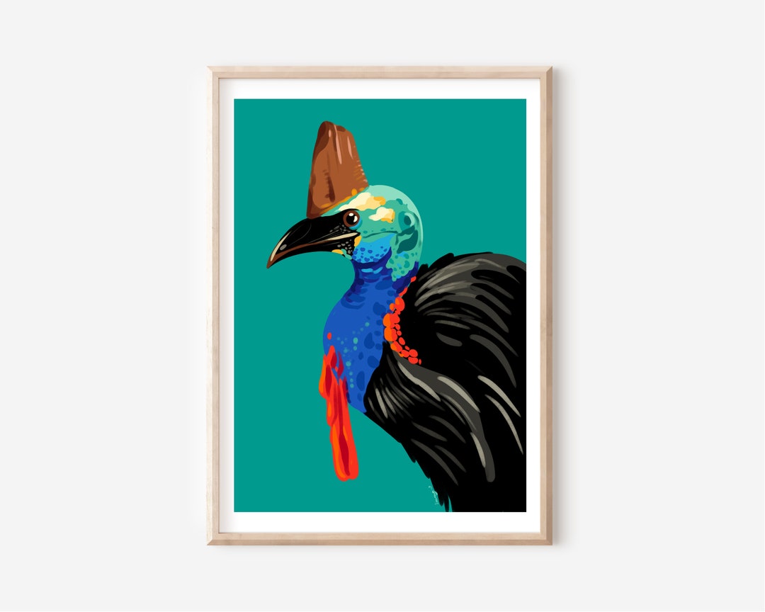 Cassowary Art Print: Australian Bird Illustration (digital Download) - Etsy