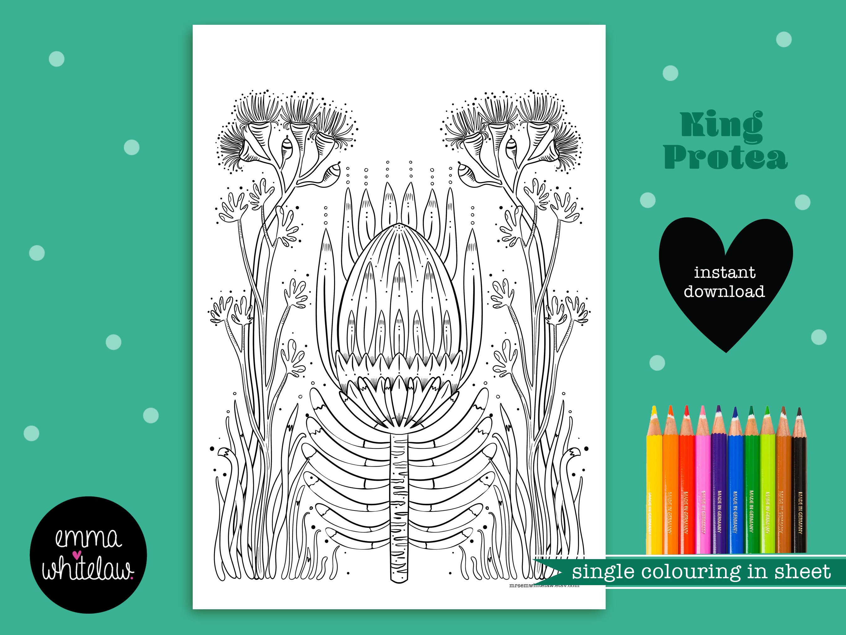 Printable Colouring in Page, Australian Flowers, Colouring in Pages for ...