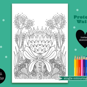 Printable Colouring in Page, Australian Flowers, Colouring in Pages for ...