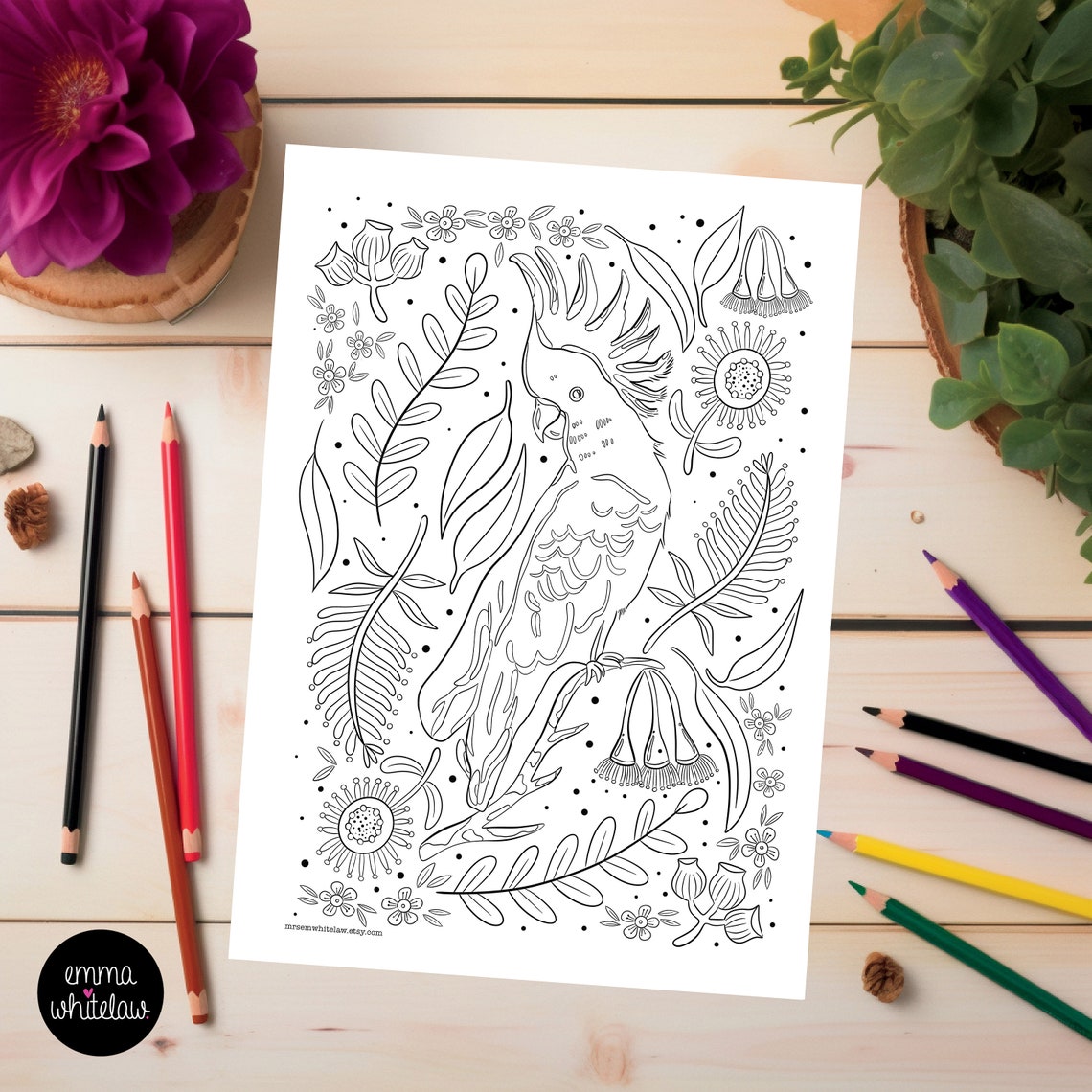 Printable Colouring in Page White Cockatoo Drawing JPG - Etsy