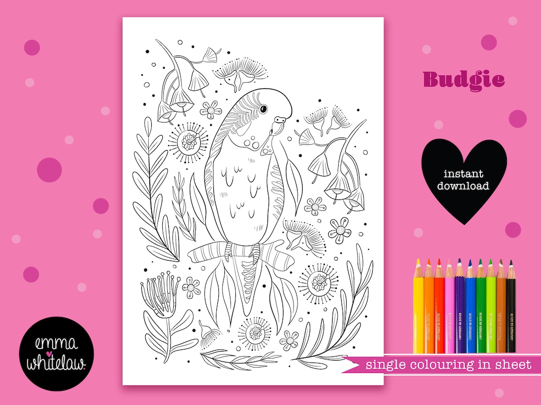 Printable Colouring in Page, Budgie, Parakeet, JPG, Colouring in Pages ...