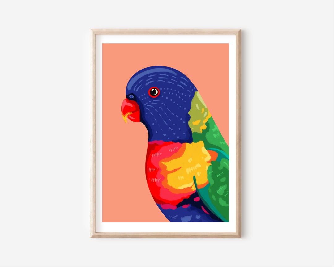 Rainbow Lorikeet Native Australian Bird, A4 /A3 Digital Illustrated ...