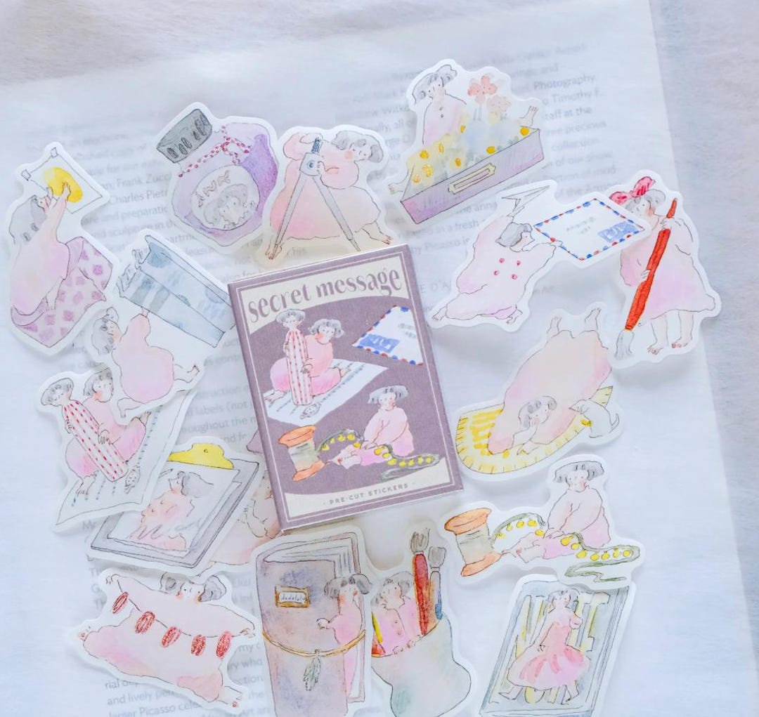 New Dodolulu Secret Message Stickers in Matchbox - Etsy