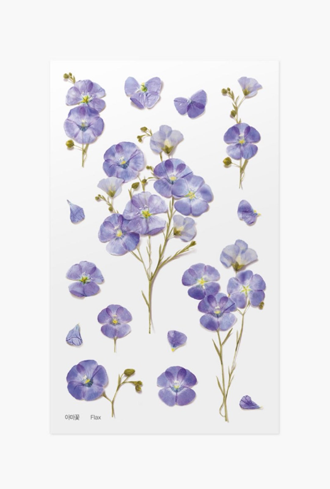 Appree Flax Pressed Flower Stickers - Etsy