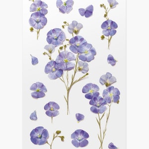 Appree Flax Pressed Flower Stickers - Etsy