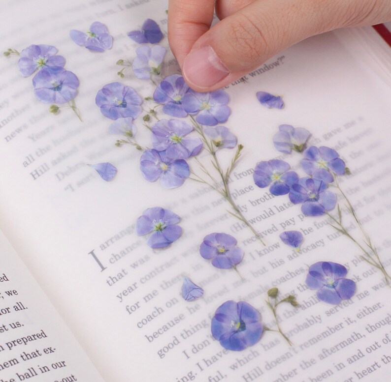 Appree Flax Pressed Flower Stickers - Etsy