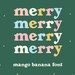 Mango Banana Font - A Groovy Serif Font, for Logos, Branding, Cricut ...