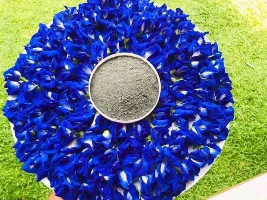 100% Organic Dried Blue Butterfly Pea Flower Clitoria Ternatea Herbal ...
