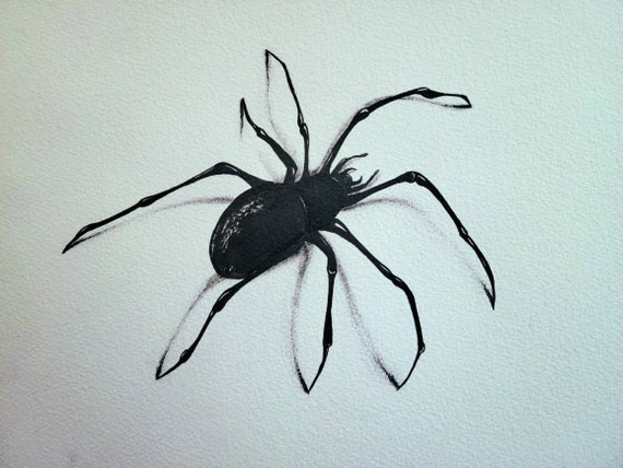 Realistic Spider Drawing