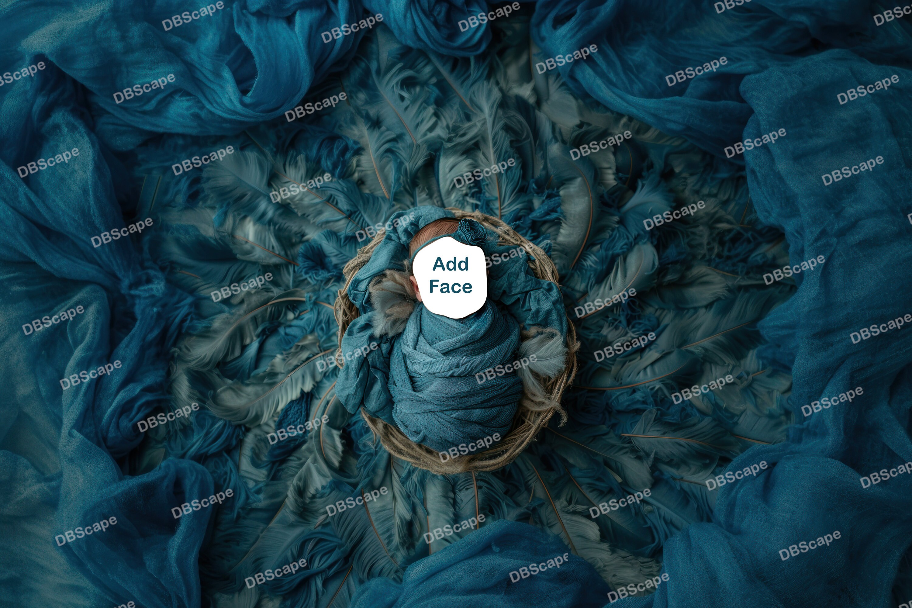 Newborn Digital Backdrop Face Insert, Feather Backdrop, Digital Newborn ...