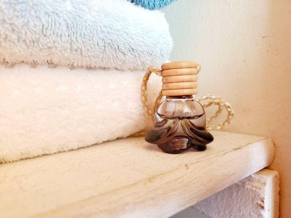 Scent Diffuser. Elegant Rose Glass Bottle Scent Car Diffuser. Small ...