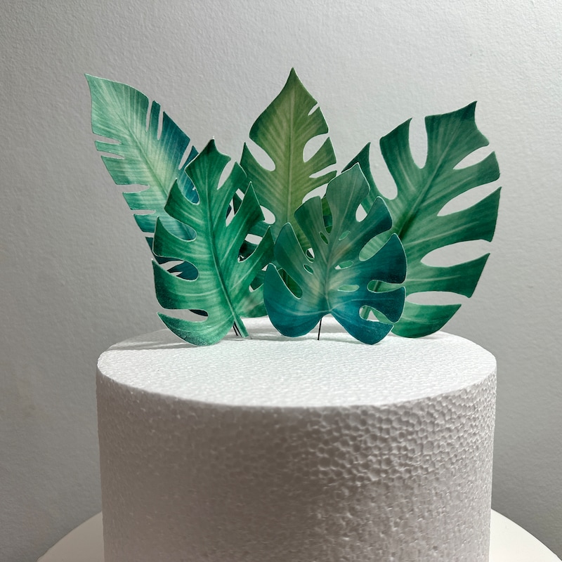 Monstera Leaf Cake - Etsy