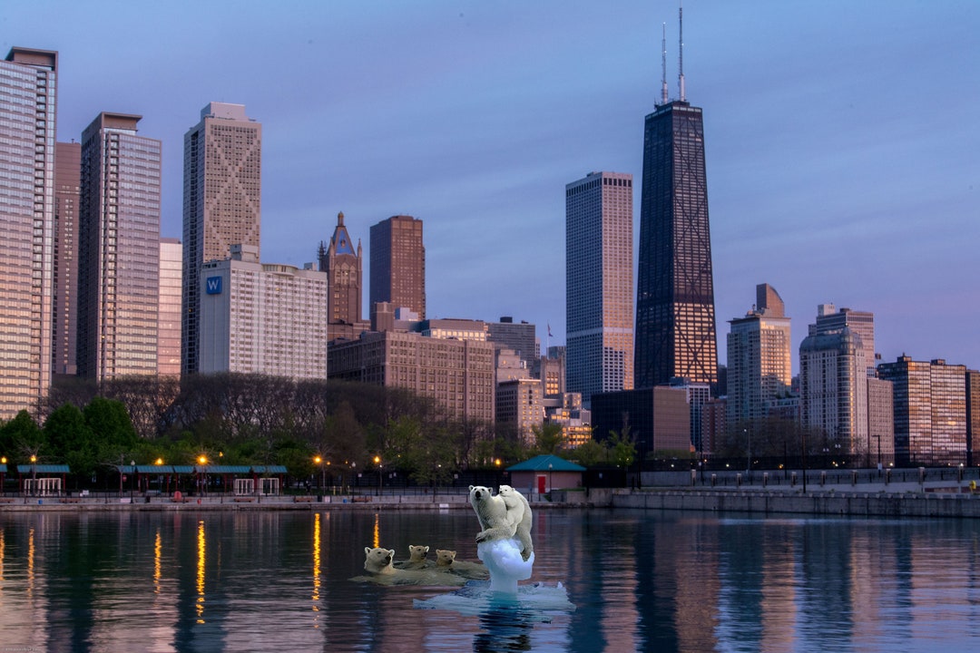 Chicago's Other Bears, Surreal Cityscape, Surreal Chicago, Chicago ...