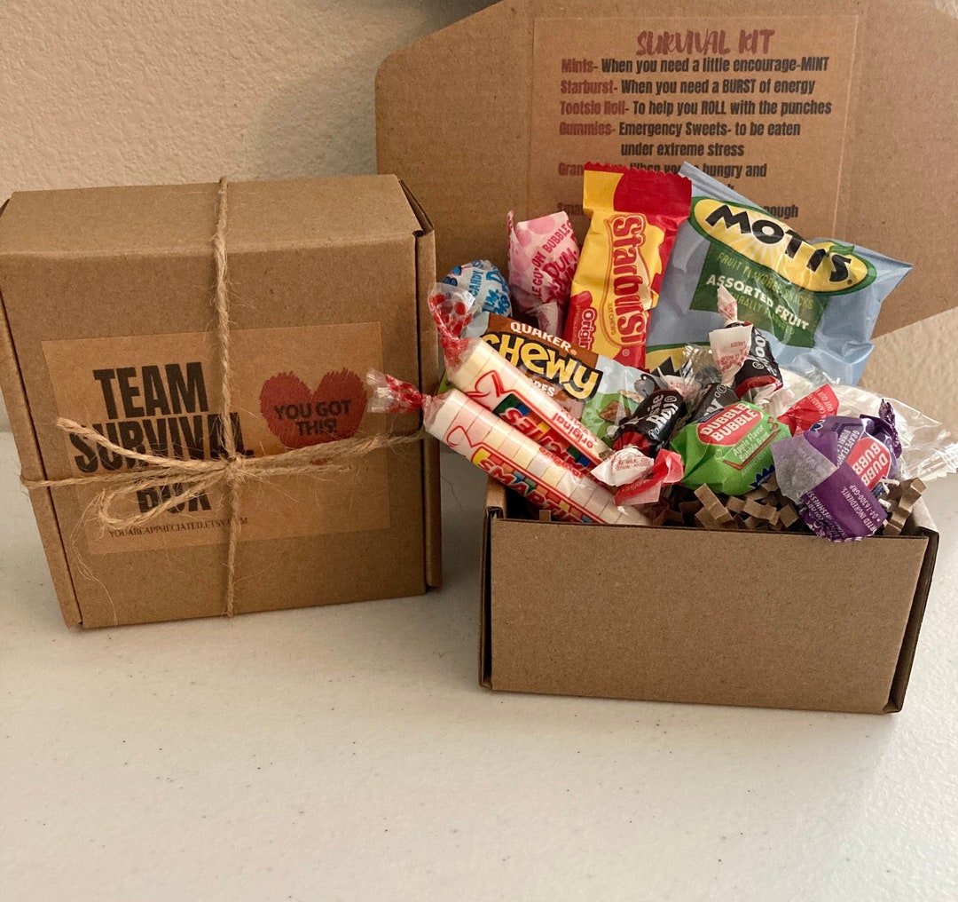 Team Survival Kit. Best Employee Appreciation Gifts.unique - Etsy